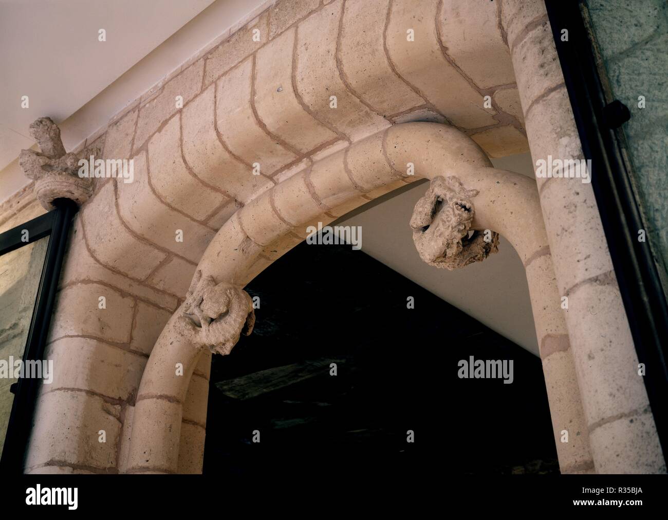 Animales del patio hi-res stock photography and images - Alamy