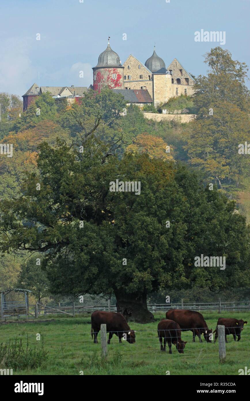 Sababurg sleeping beauty castle hi-res stock photography and images - Alamy