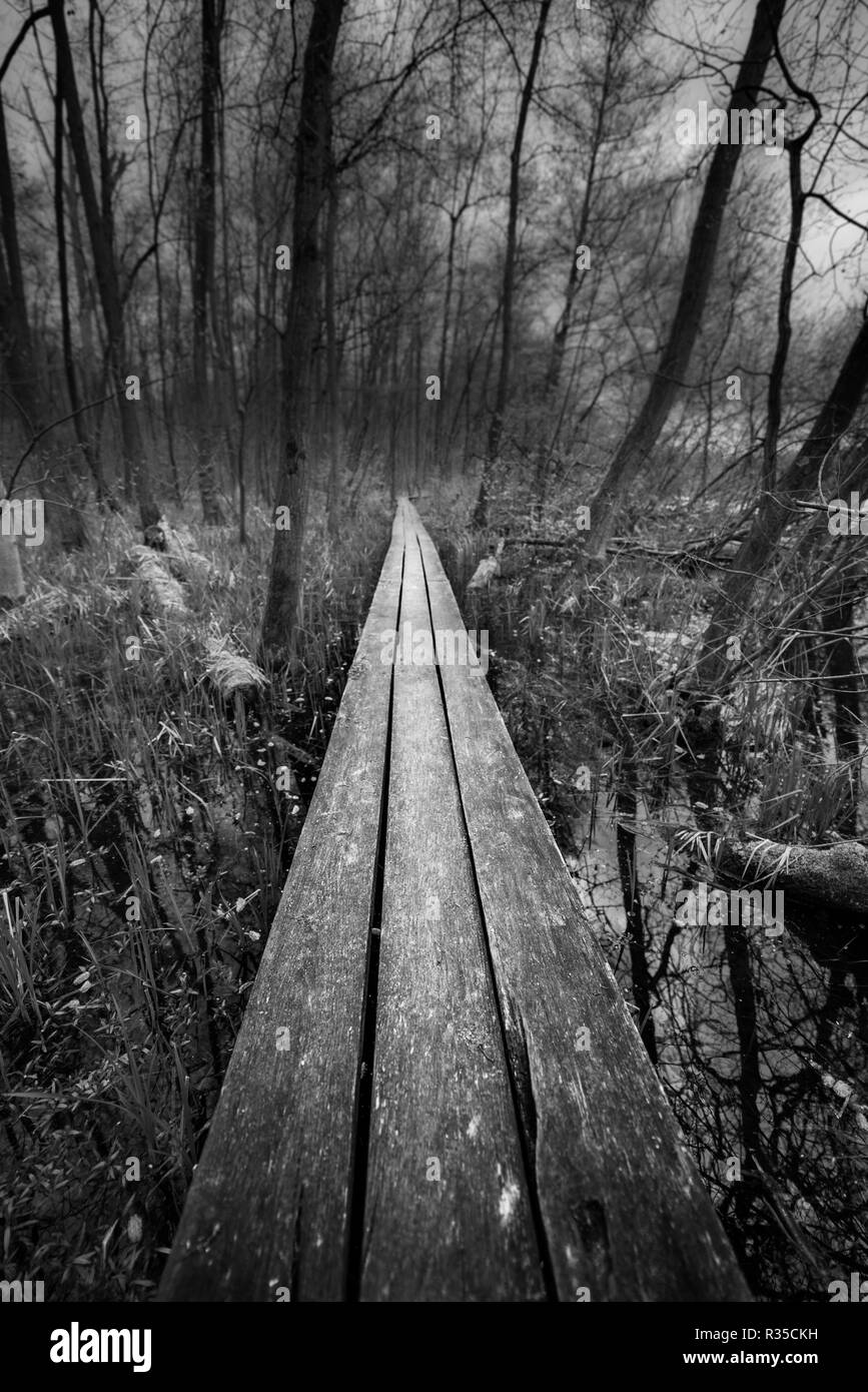 path to nowhere Stock Photo - Alamy