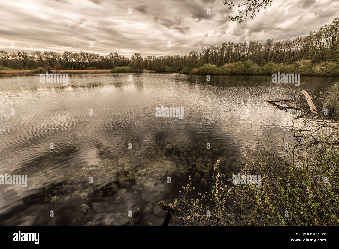 View of bog habitat hi-res stock photography and images - Alamy