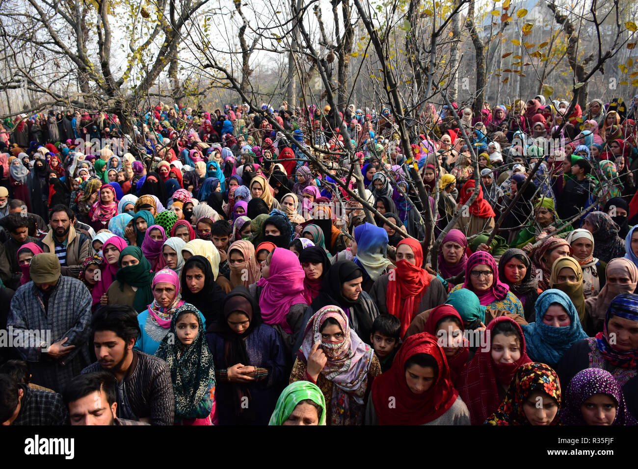 Mehraj ud din hi-res stock photography and images - Alamy