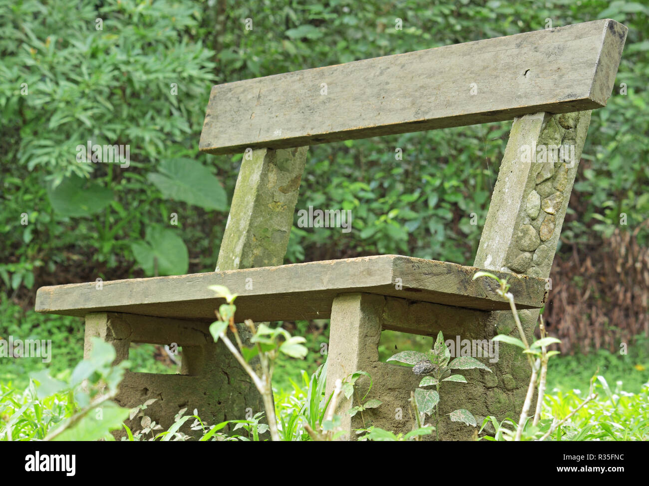 Walking formal garden nature park bench relaxation hi-res stock ...