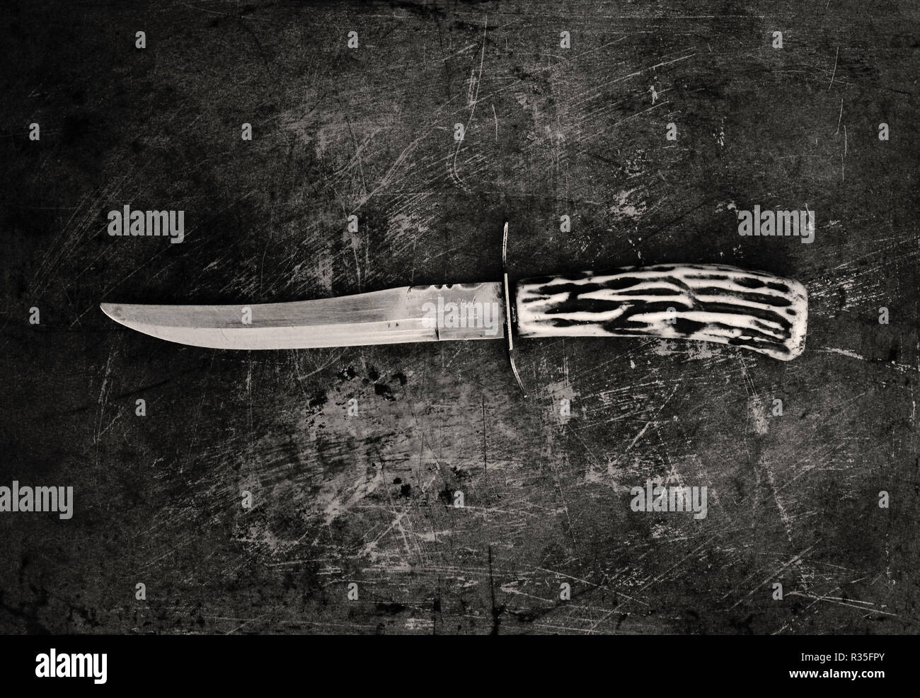 Bone handle knife hi-res stock photography and images - Alamy