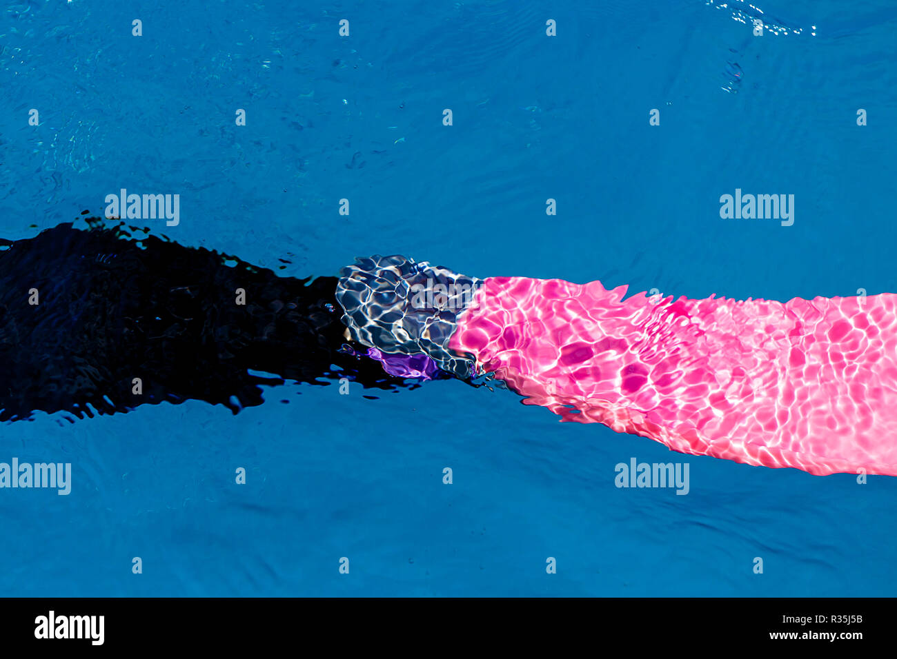 Pink snorkel hi-res stock photography and images - Alamy
