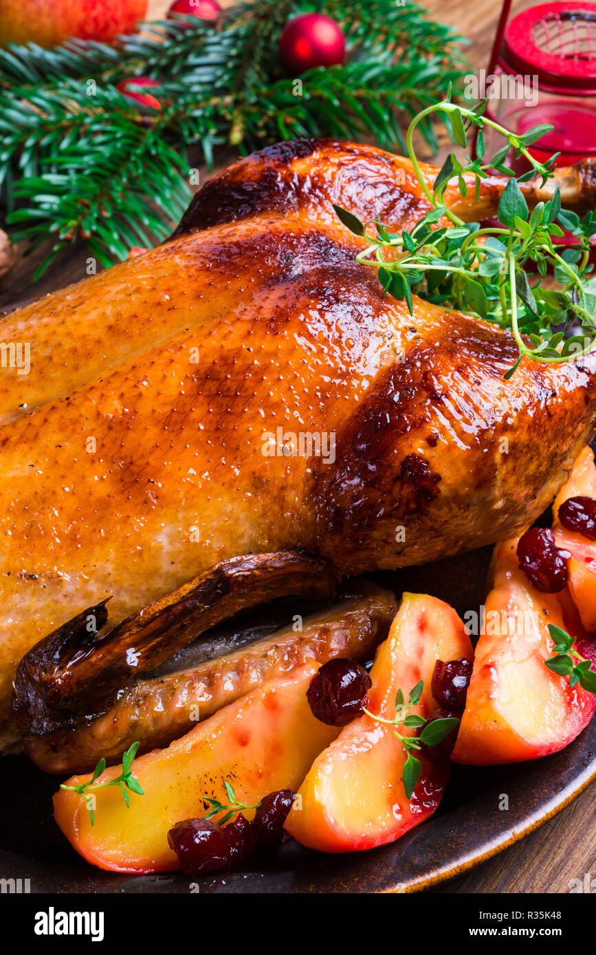 Fat cheerful goose hi-res stock photography and images - Alamy