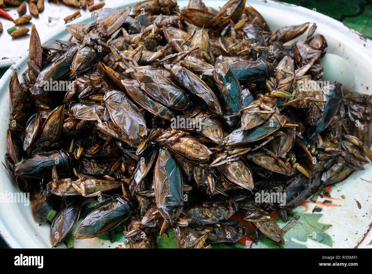 Cambodia, Phnom Penh, insect market Stock Photo - Alamy