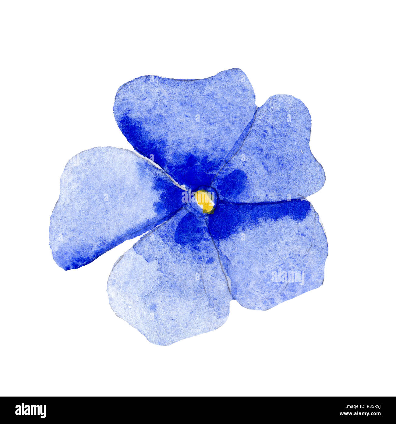 Blue phlox flower. Isolated phlox illustration element. Watercolor ...