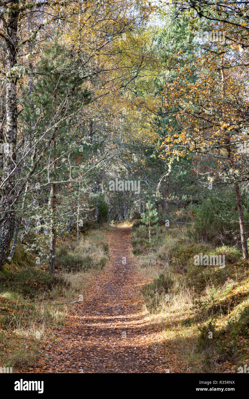 Cycle path in nature hi-res stock photography and images - Alamy