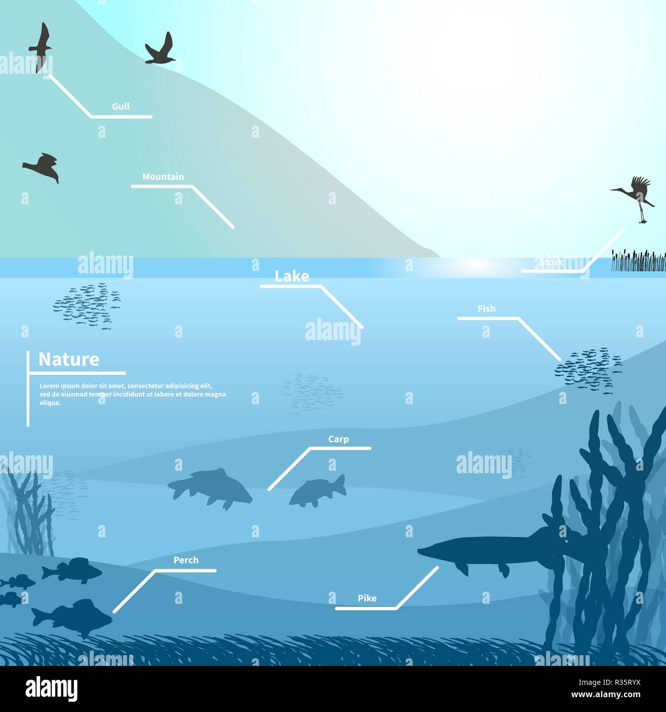 Ecosystem Illustration Stock Photos & Ecosystem Illustration Stock ...