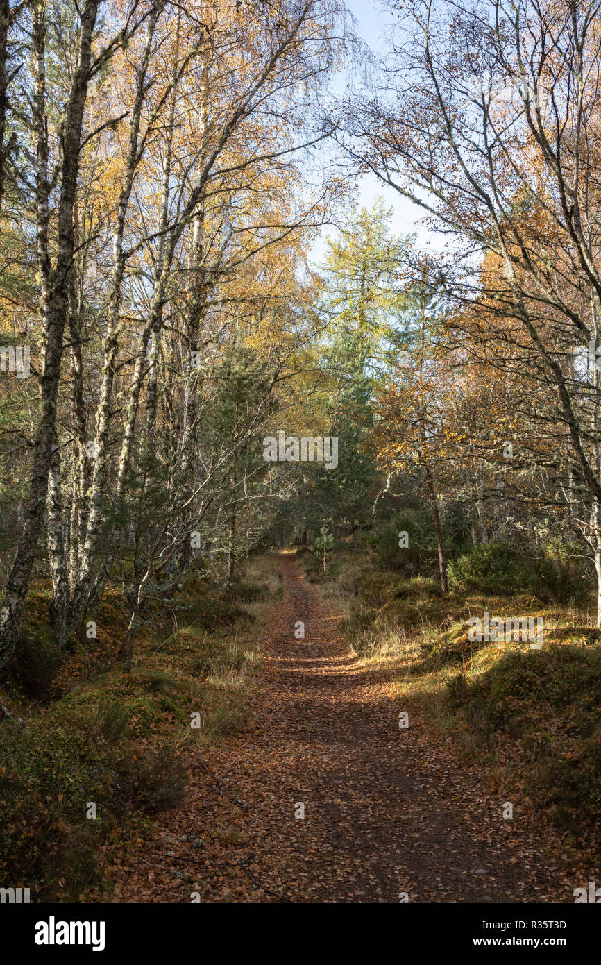 Cycle path scotland hi-res stock photography and images - Alamy