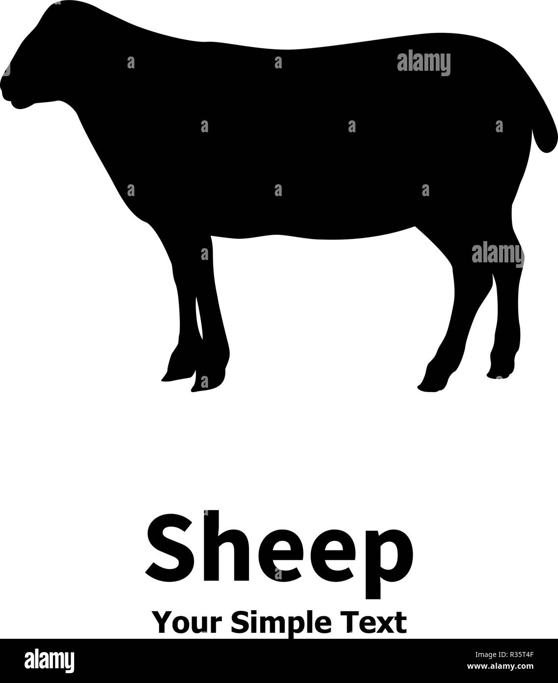 Vector illustration pet sheep Stock Vector Image & Art - Alamy