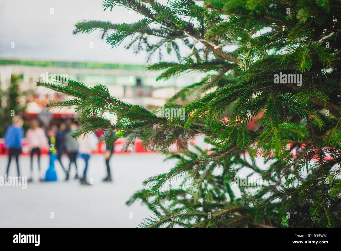 Christmas Tree in Front of the Outdoor Ice Skating Rink at the ...