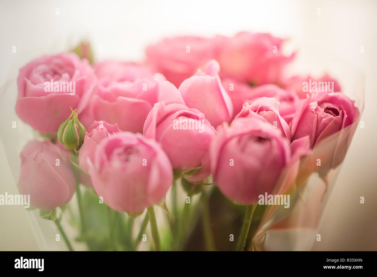 Flowers wrapped in cellophane hi-res stock photography and images - Alamy