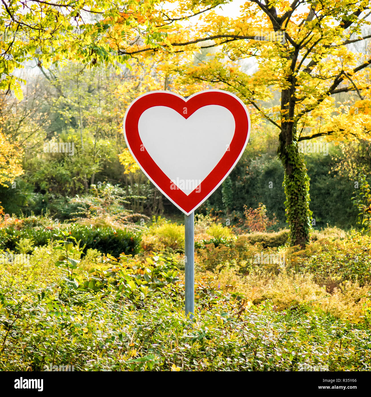 heart sign in the forest Stock Photo - Alamy