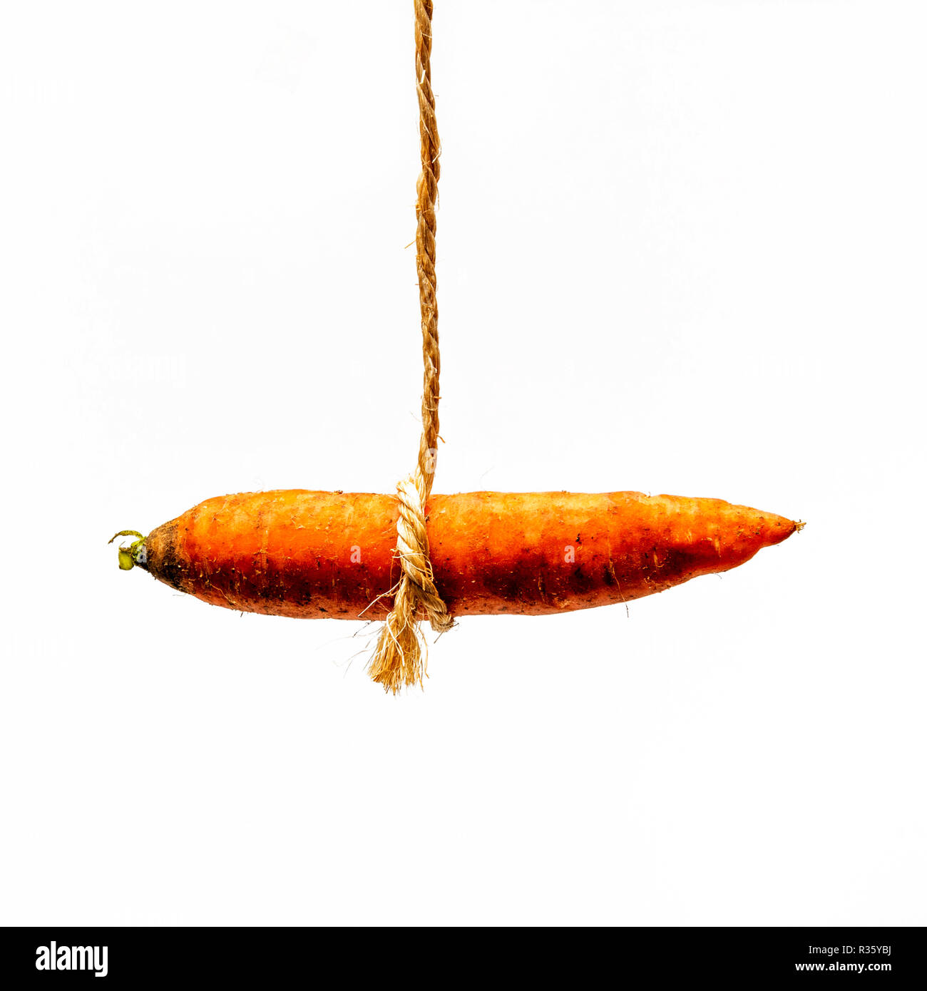 Hanging vegetables hi-res stock photography and images - Alamy