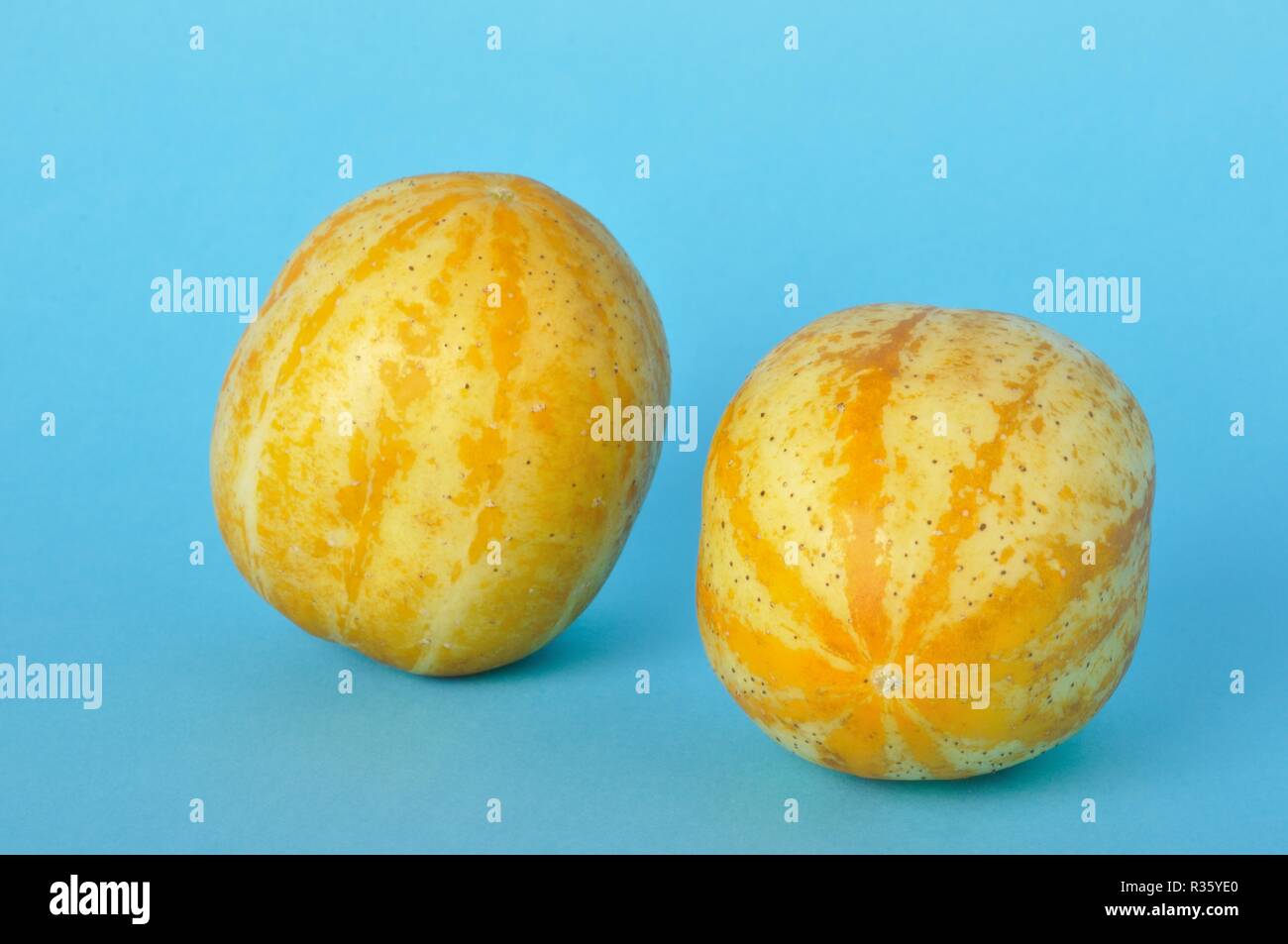 Pepino vegetable hi-res stock photography and images - Alamy