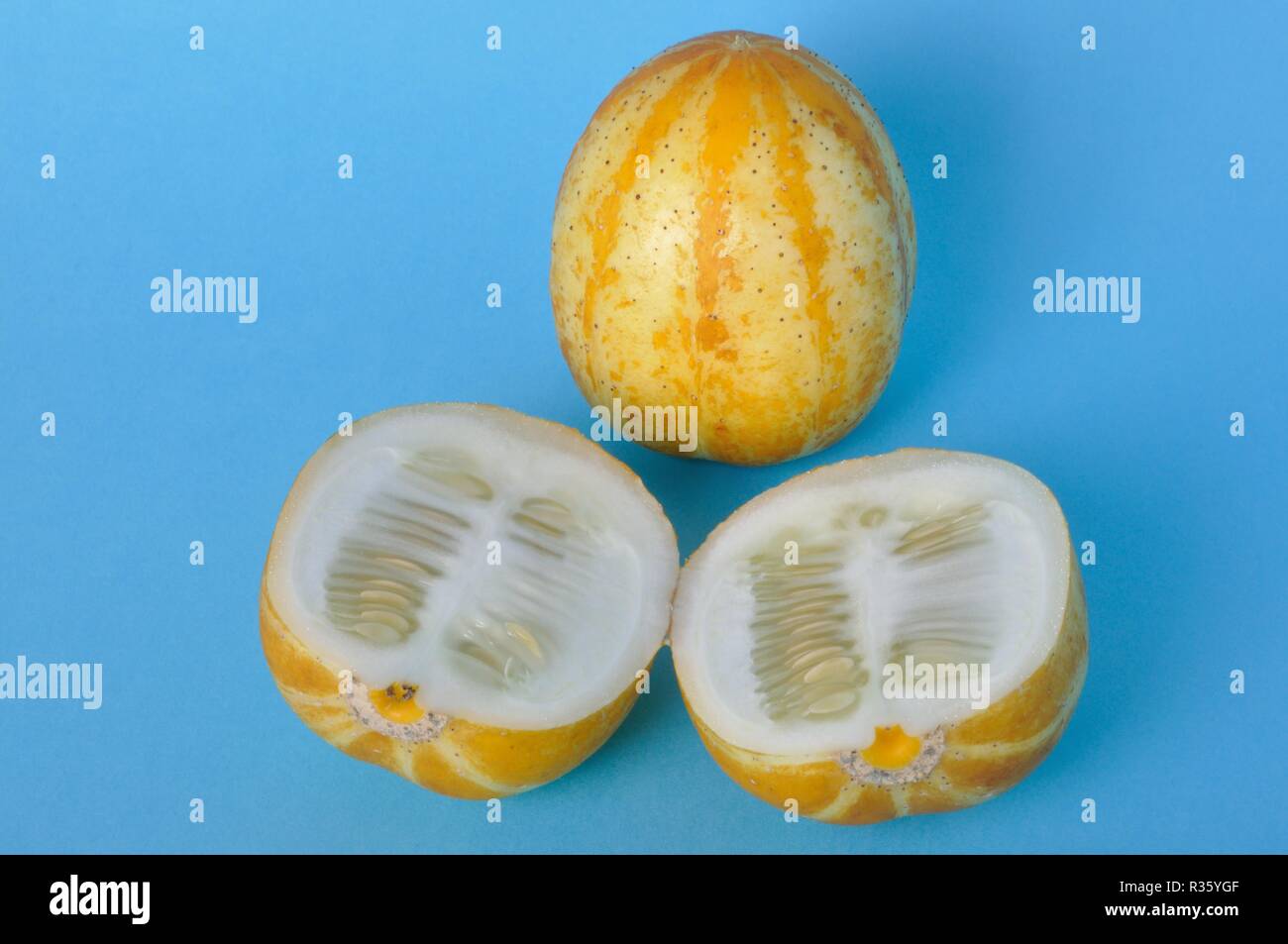 Pepino vegetable hi-res stock photography and images - Alamy