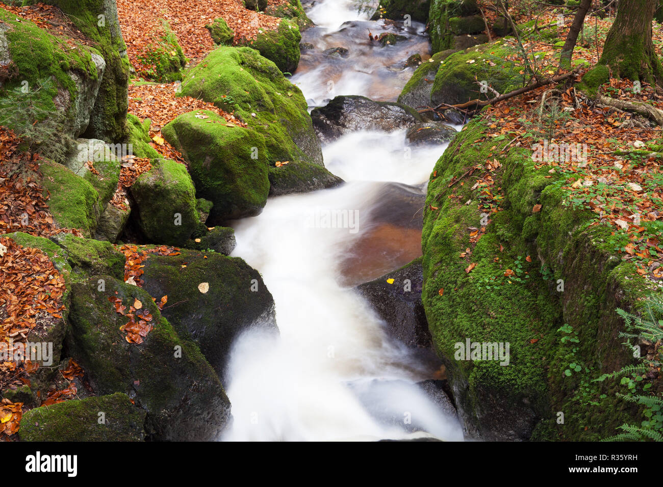 Nata river hi-res stock photography and images - Alamy