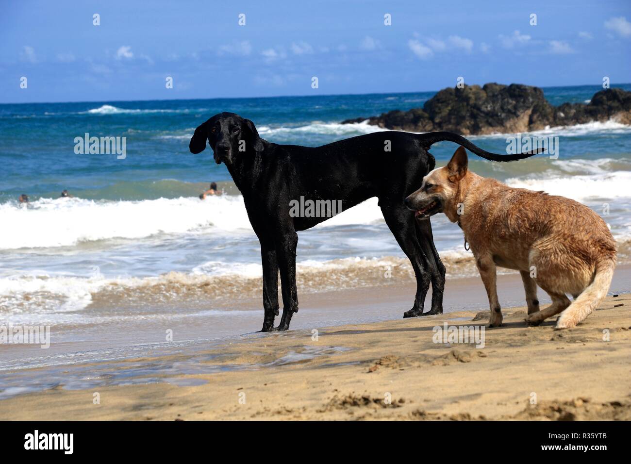 Piedra feliz hi-res stock photography and images - Alamy
