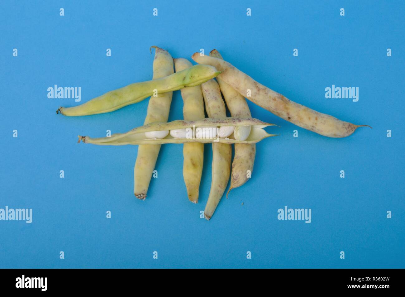 Podding beans hi-res stock photography and images - Alamy