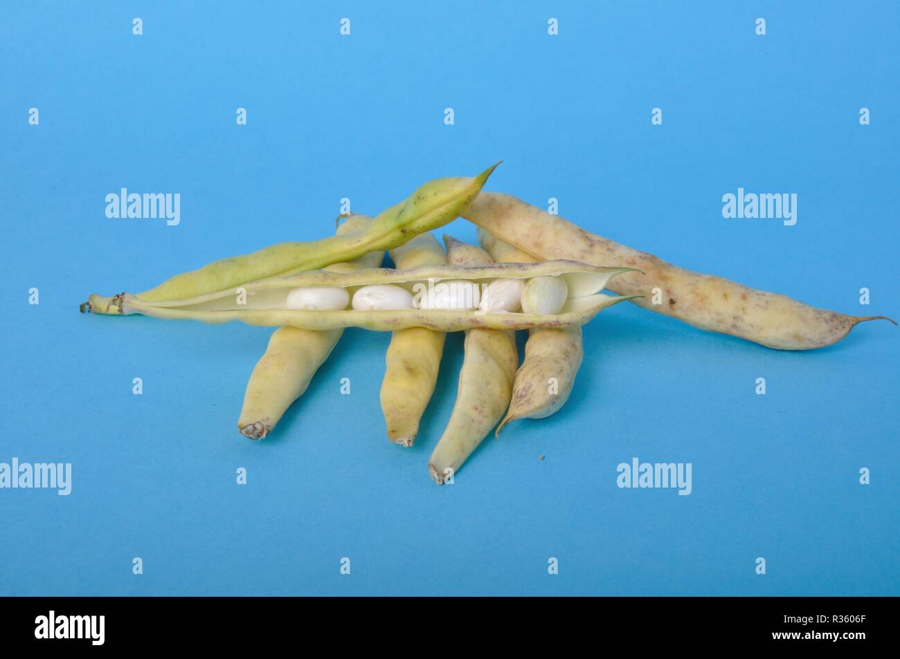 Coco beans hi-res stock photography and images - Alamy