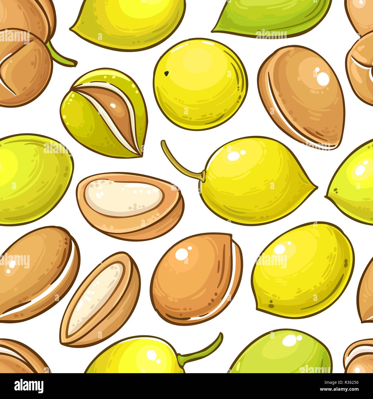 Argan oil vector vectors hi-res stock photography and images - Alamy