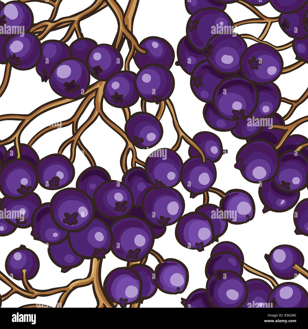 Black rowan berries on Stock Vector Images - Alamy