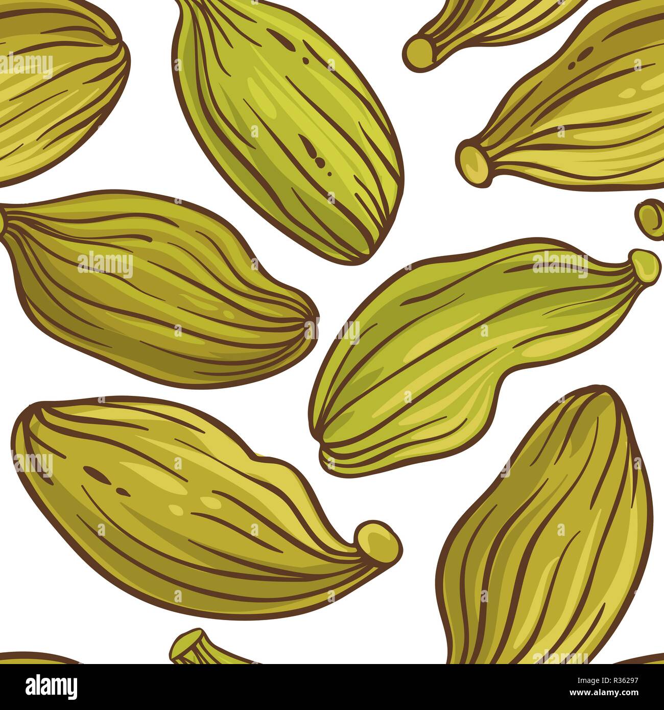 Cardamom Leaf Plant Stock Photos & Cardamom Leaf Plant Stock Images - Alamy