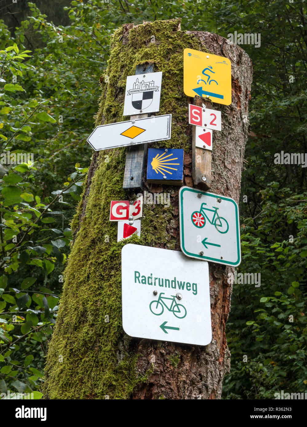 Signs in the forest hi-res stock photography and images - Alamy