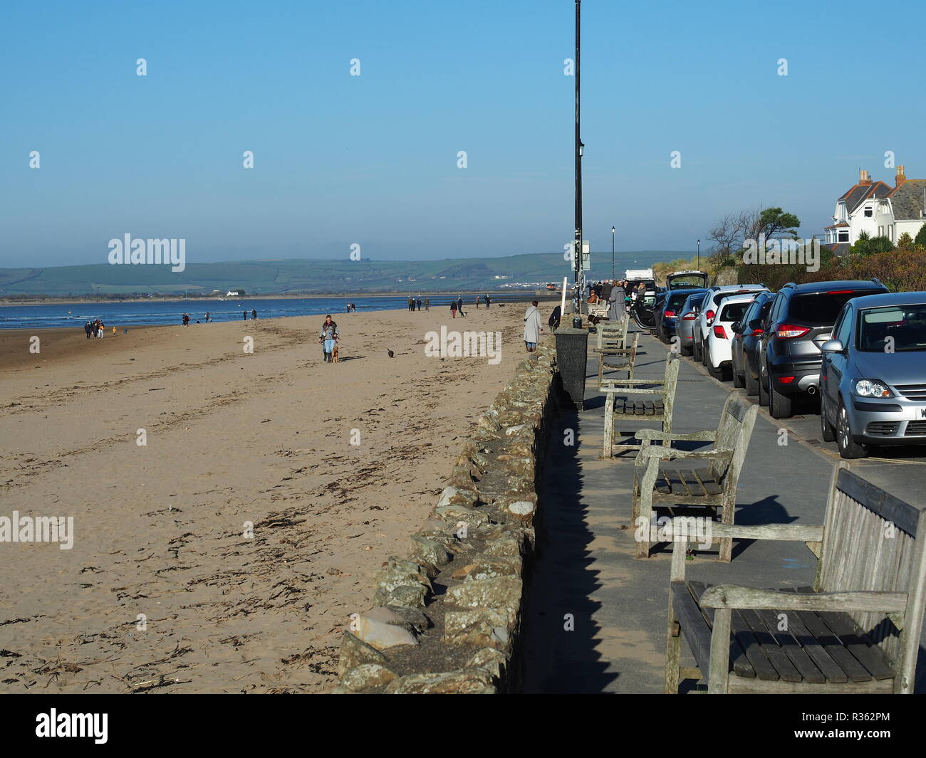 Groups of Dog Walkers on Instow Beach North Devon UK Stock Photo - Alamy