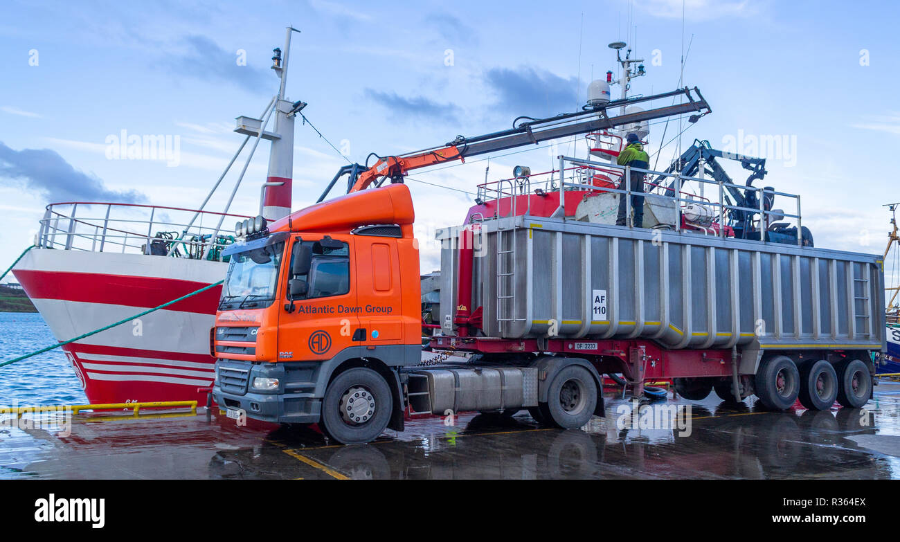 deep sea trawler offloading its catch by pumping into waiting lorries ...