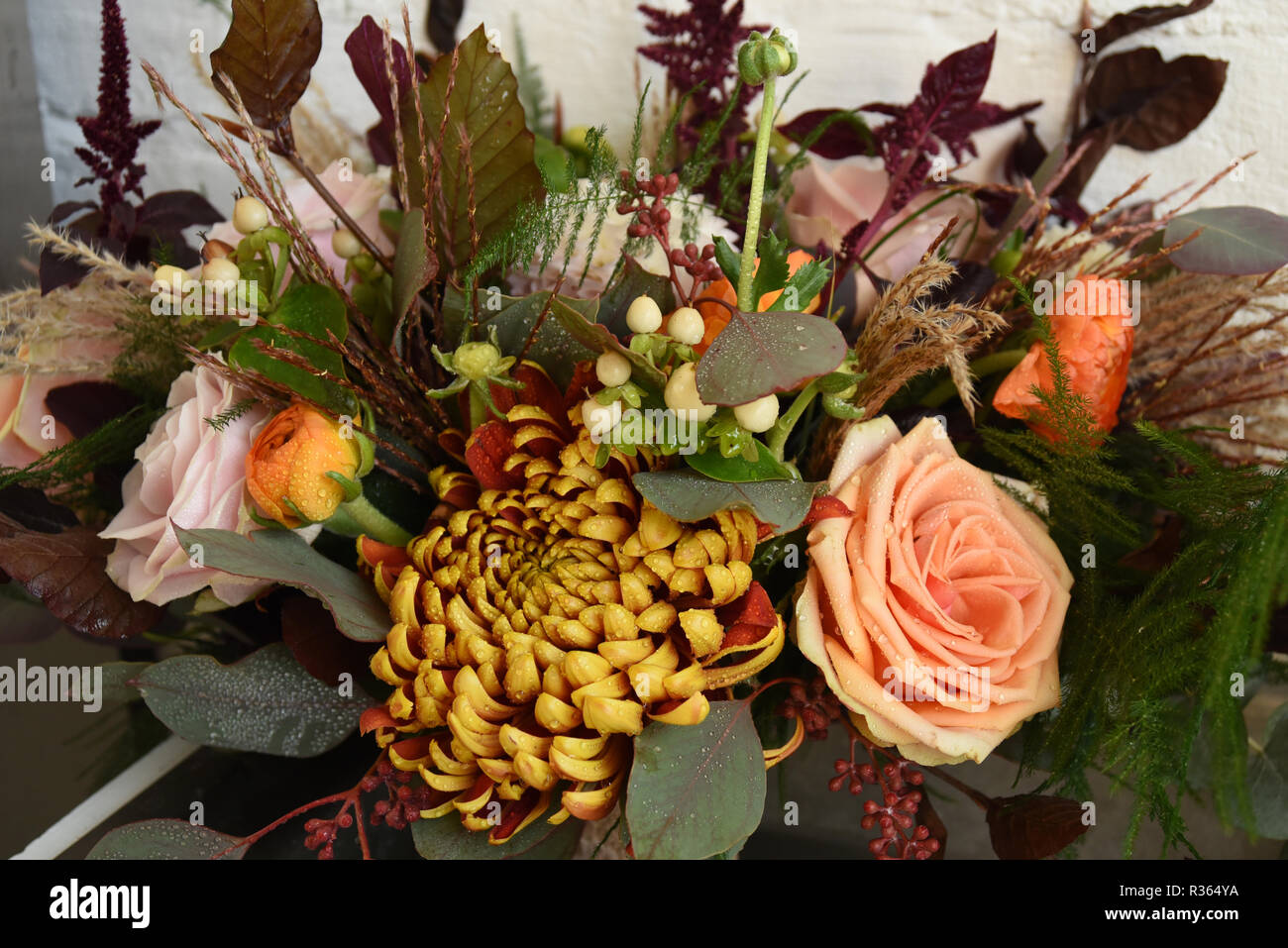 Flower arrangement plants hi-res stock photography and images - Alamy