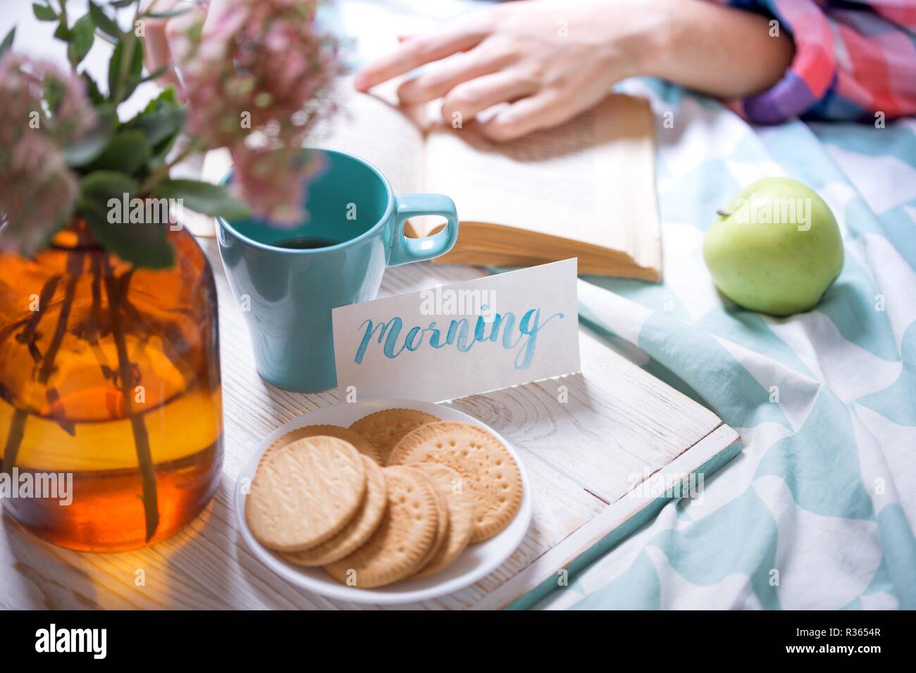 background - beautiful cozy morning and girl reading book Stock Photo ...