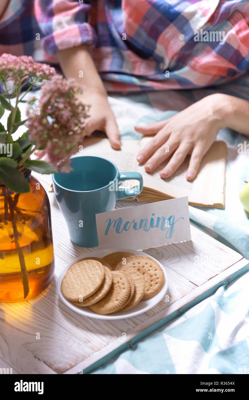 background - beautiful cozy morning and girl reading book Stock Photo ...