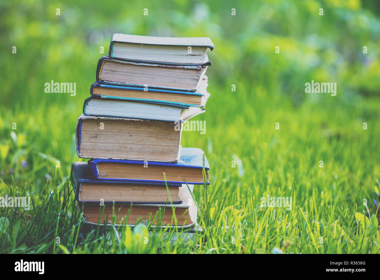 The stack of books outdoors on green grass in spring Stock Photo - Alamy