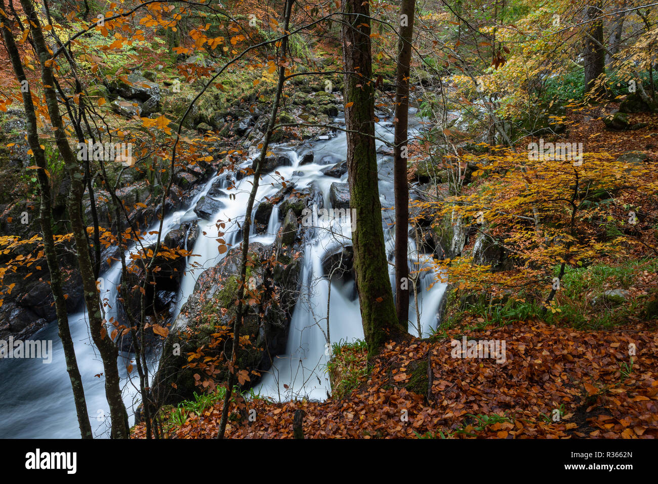 Black linn falls hi-res stock photography and images - Alamy