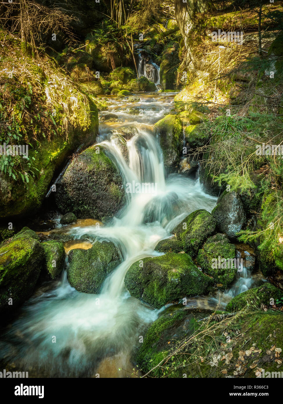 Waterfalls in the Ysperklamm in Yspertal Lower Austria in spring Stock ...
