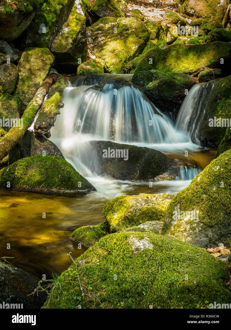Waterfalls in the Ysperklamm in Yspertal Lower Austria in spring Stock ...