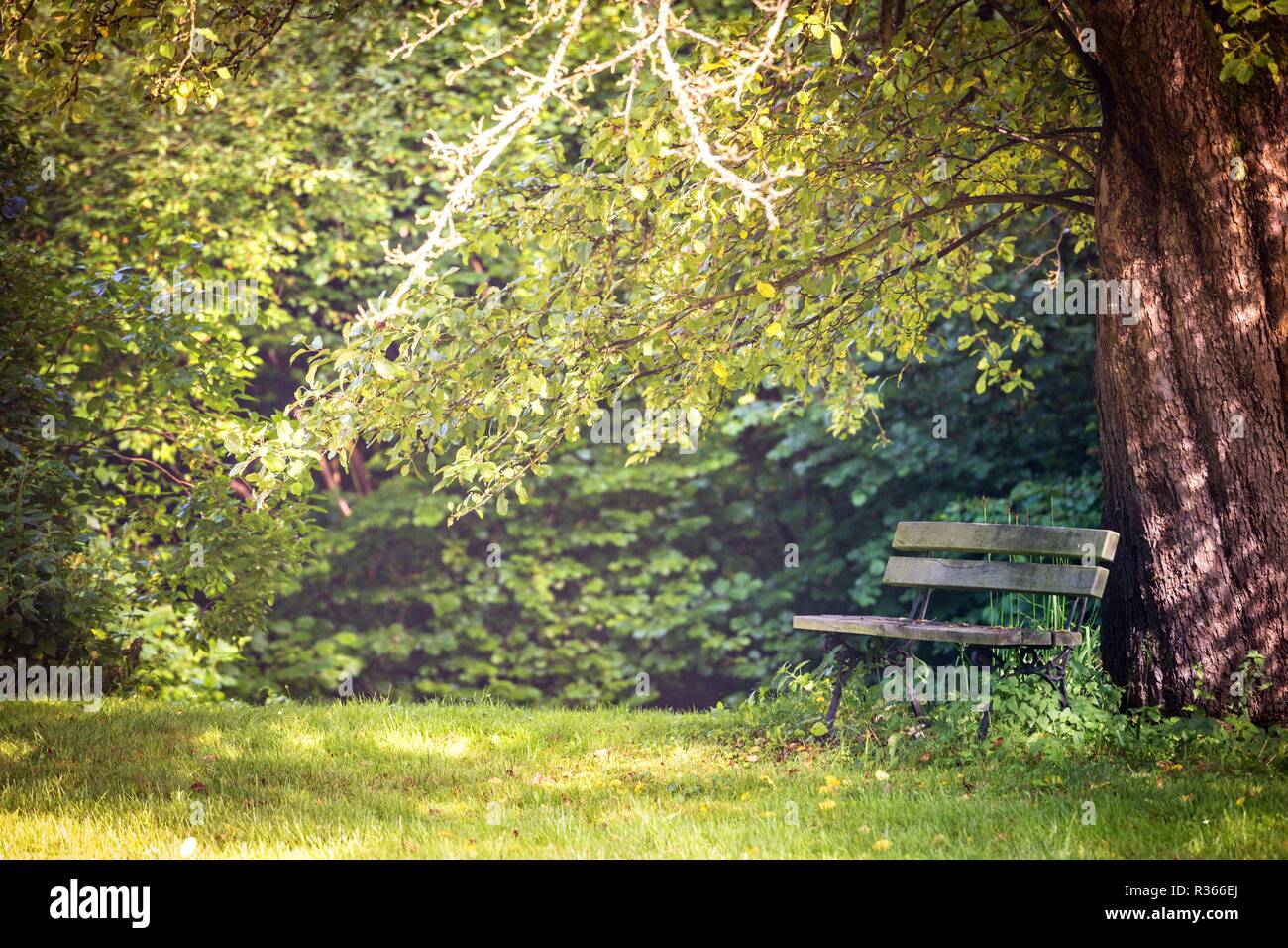 Cozy bench hi-res stock photography and images - Alamy