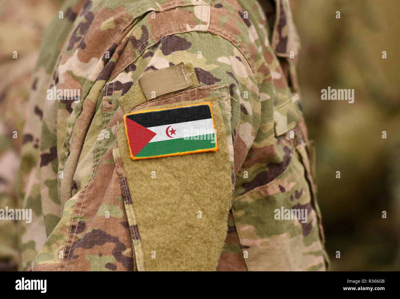 Sahrawi Arab Democratic Republic flag and musical note. Music ...