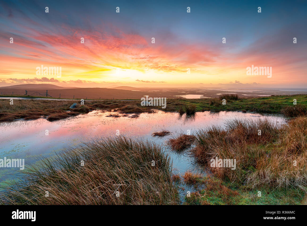 Peat bog uk hi-res stock photography and images - Alamy