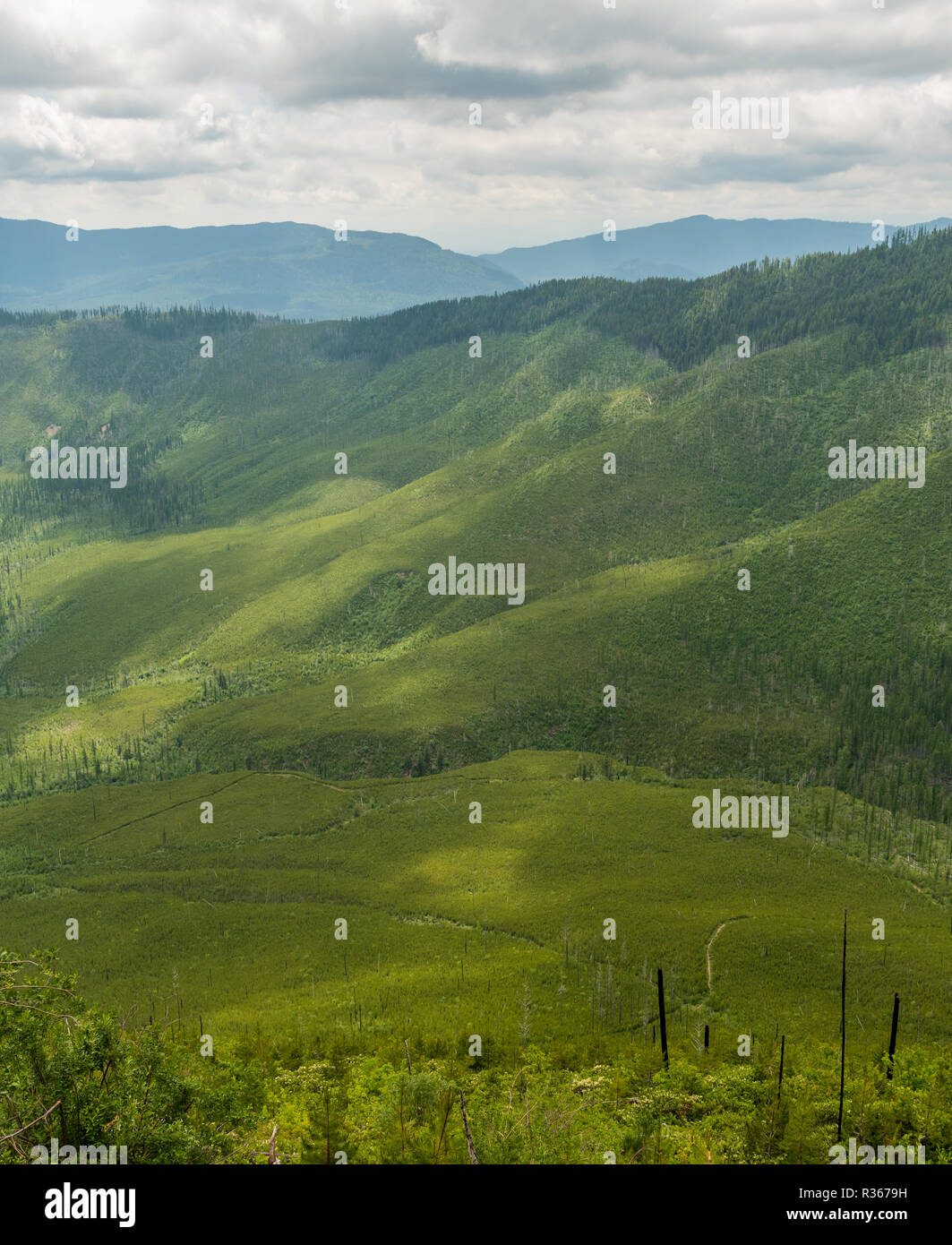Looking Down On Apgar Lookout Trail From Above Stock Photo - Alamy