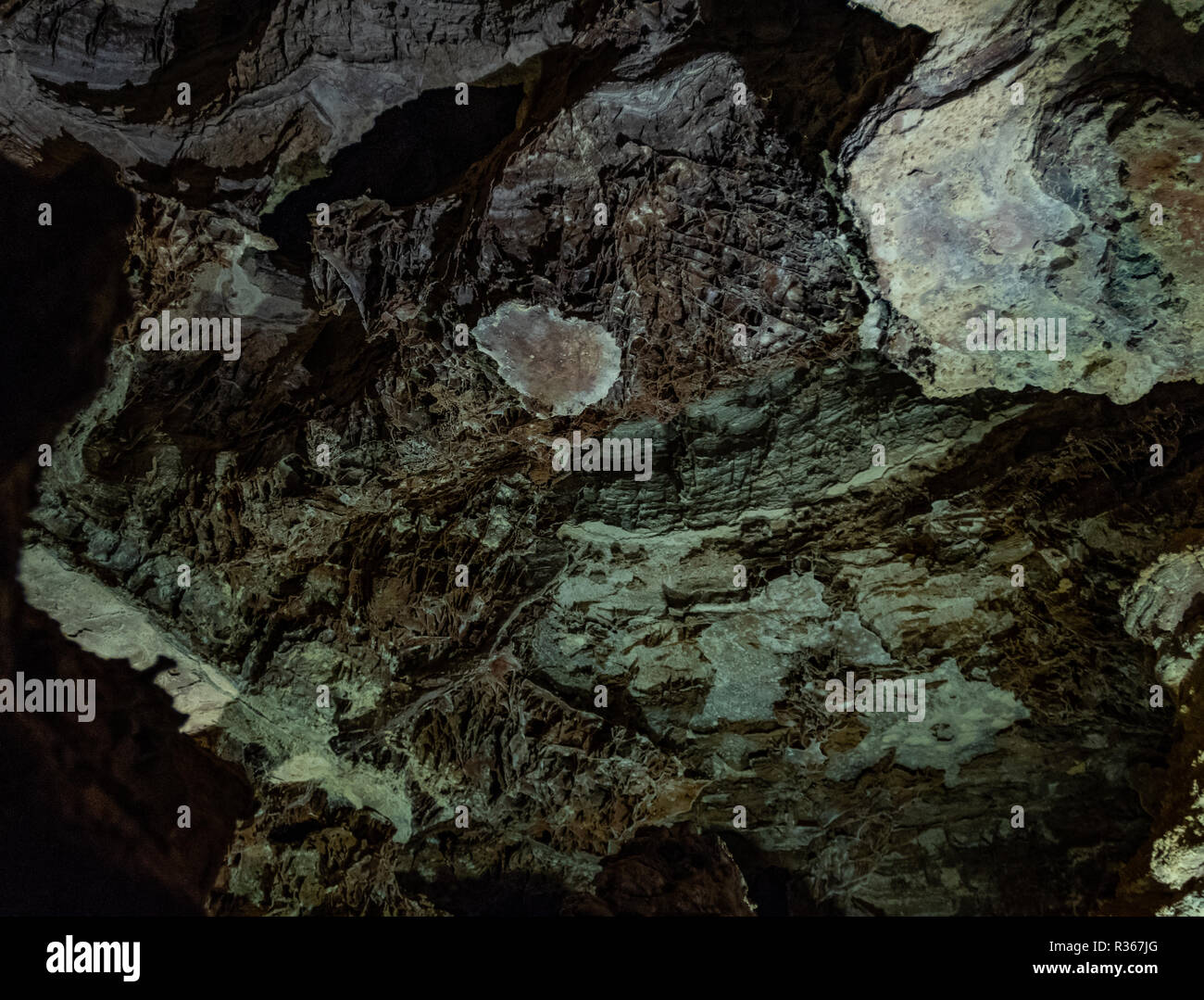 Boxwork texture hi-res stock photography and images - Alamy