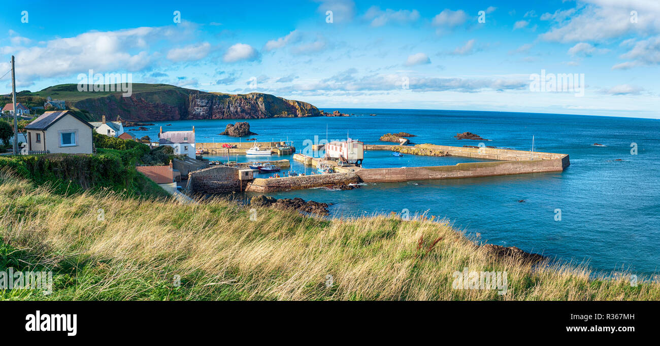 St abbs harbour harbor hi-res stock photography and images - Alamy