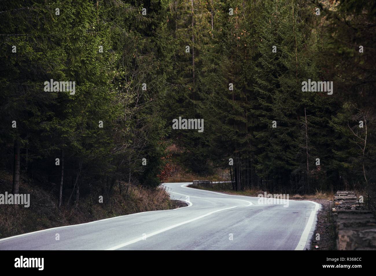 Romanian Alps High Resolution Stock Photography and Images - Alamy