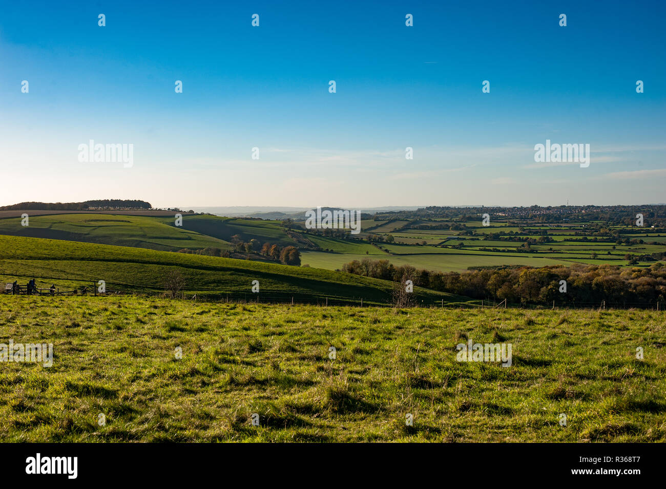 Bright green farms hi-res stock photography and images - Alamy