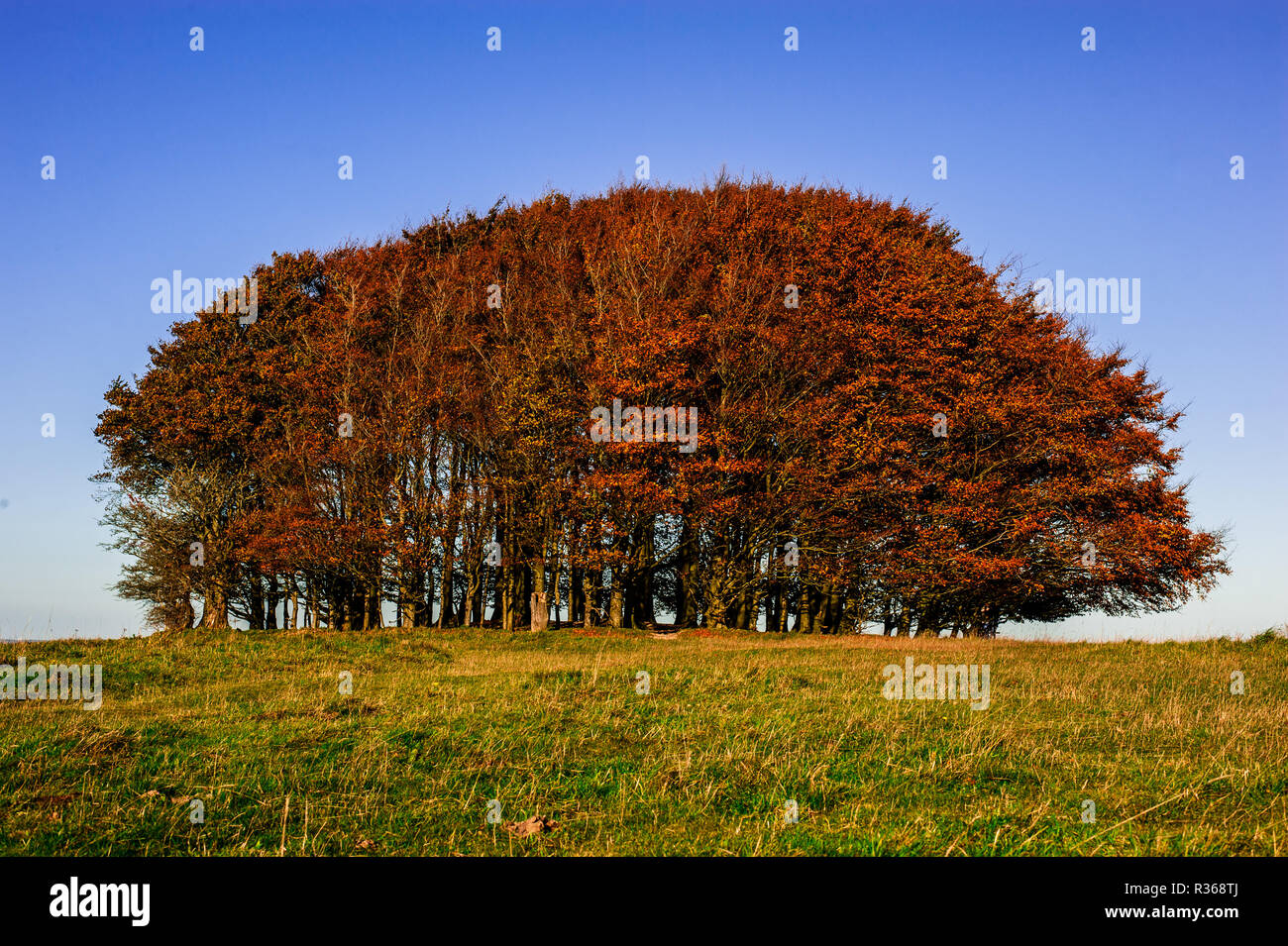 Happiness bright horizon hi-res stock photography and images - Alamy