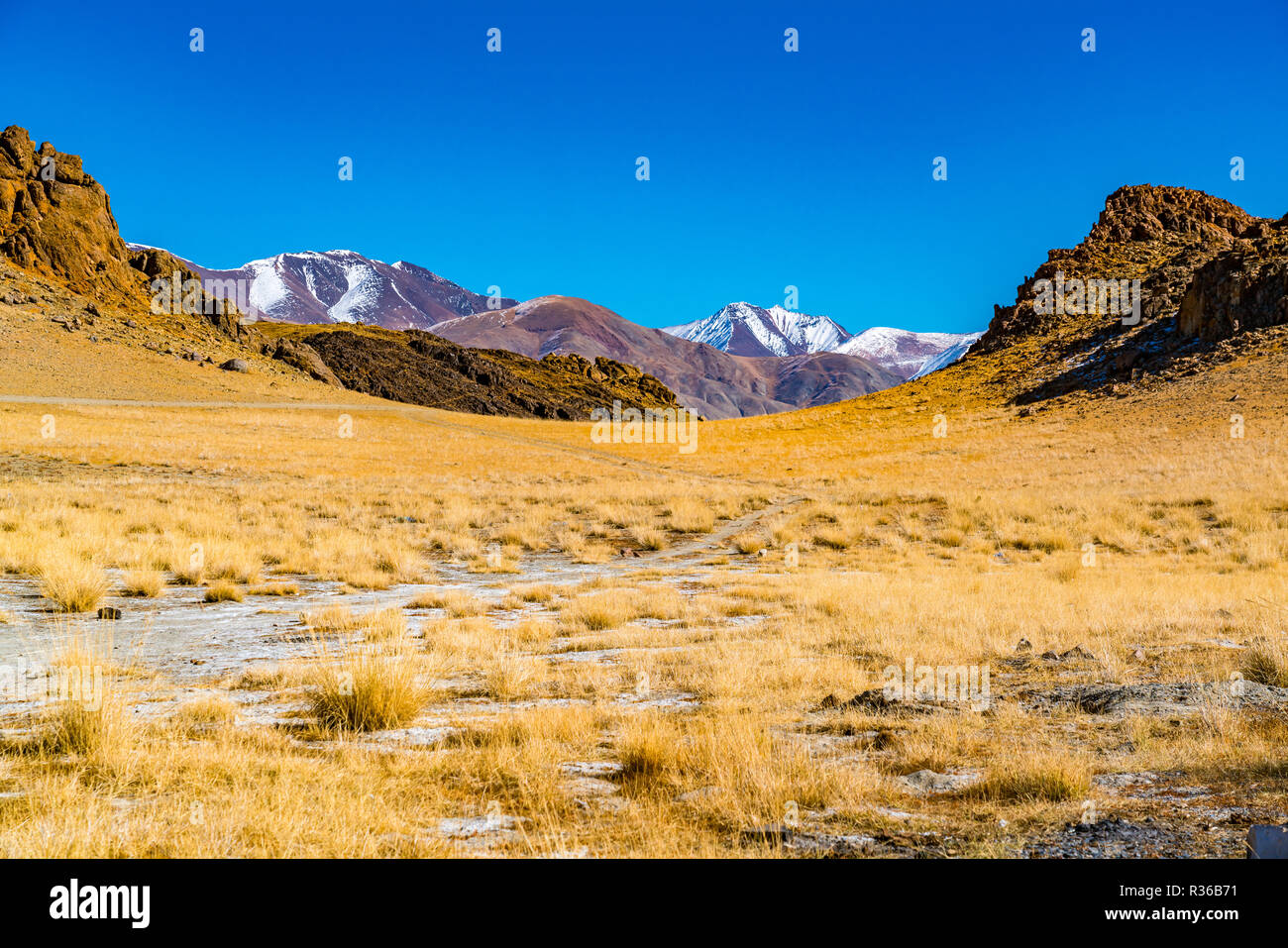 Mongolian Mountain Landscape