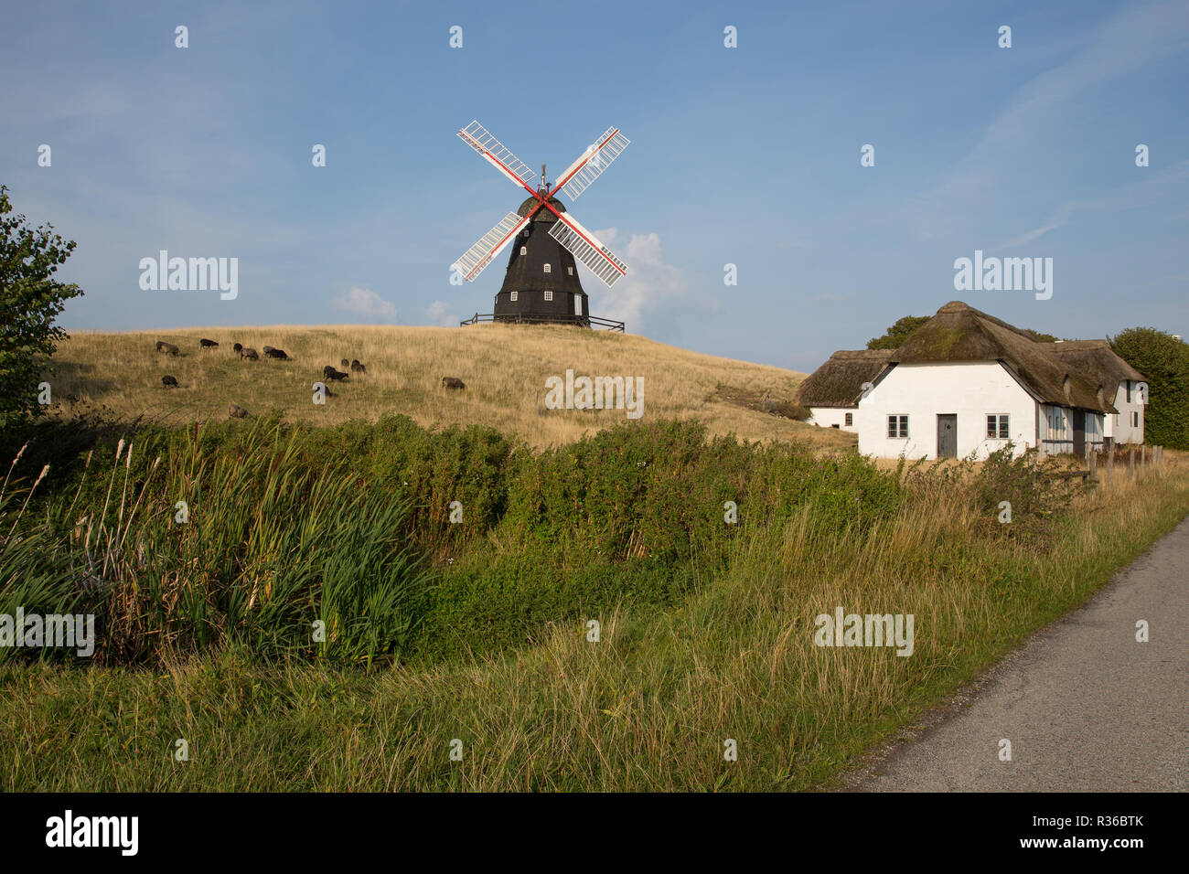 Lawn mill island hi-res stock photography and images - Alamy