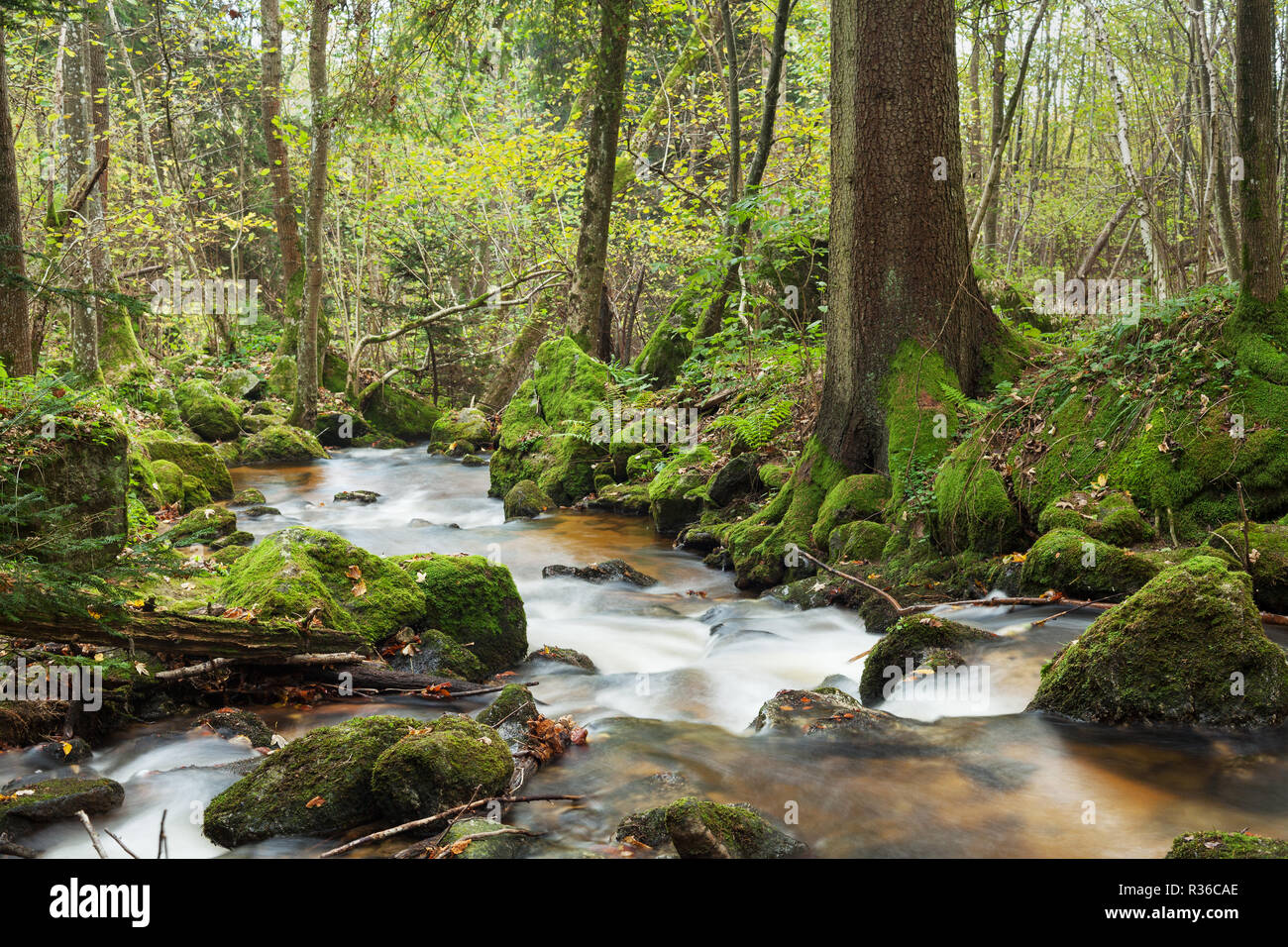 Nata River High Resolution Stock Photography and Images - Alamy